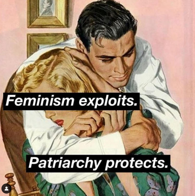 Kurzanalyse Feminism Exploits Patriarchy Protects 7499